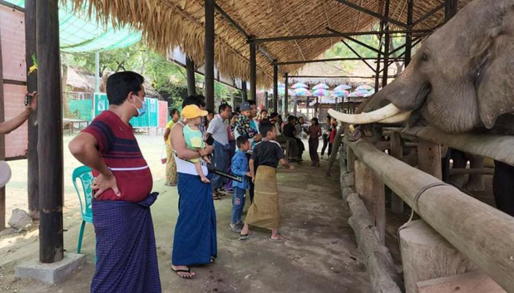 Why You Should Visit the Elephant Camp in Bagan - Exotic Myanmar ...