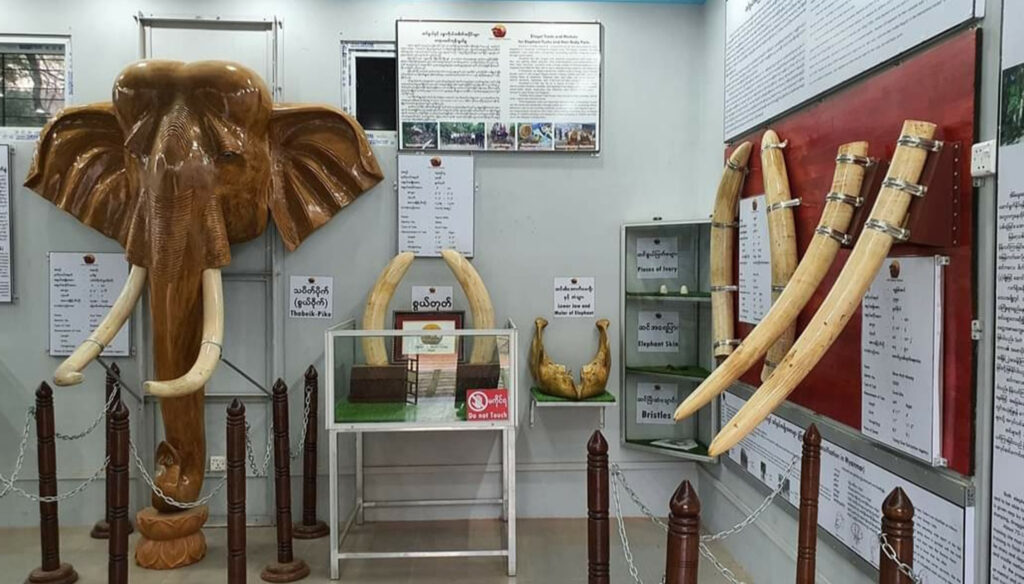 Why You Should Visit the Elephant Camp in Bagan - Exotic Myanmar ...